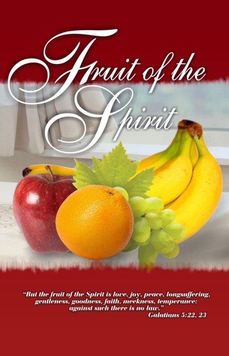 Fruit of the Spirit (Scott Hanks) – NW Books